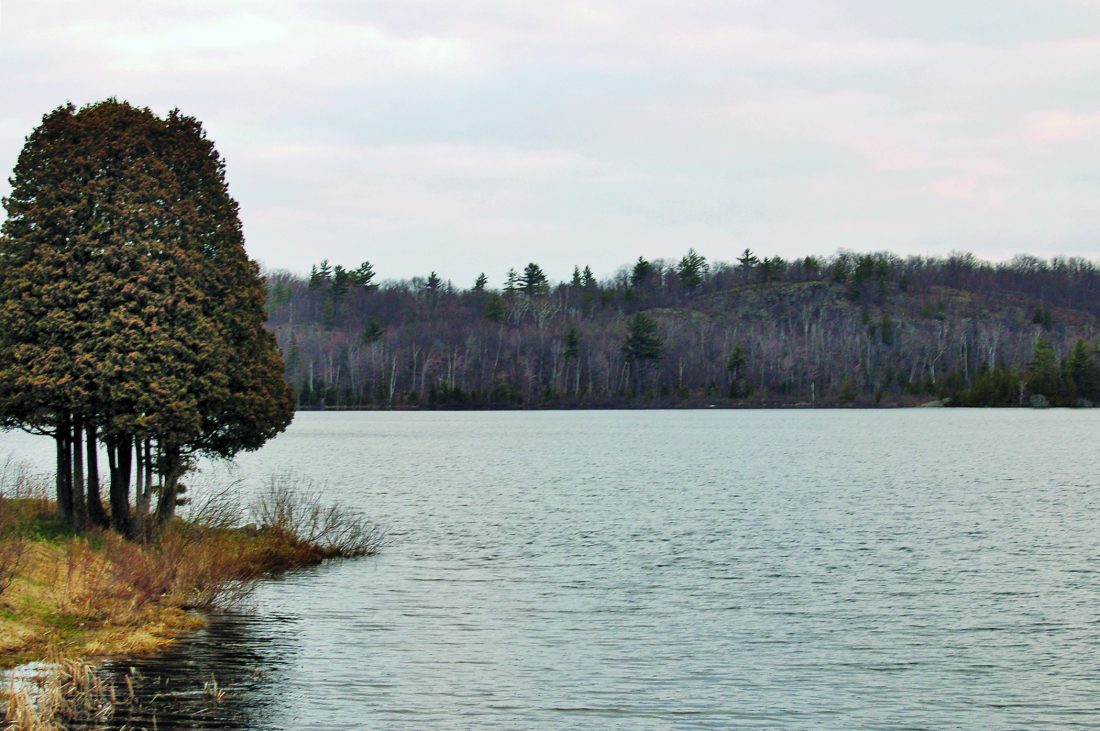 Negaunee, Marquette Township chosen for MSU grants | News, Sports, Jobs ...